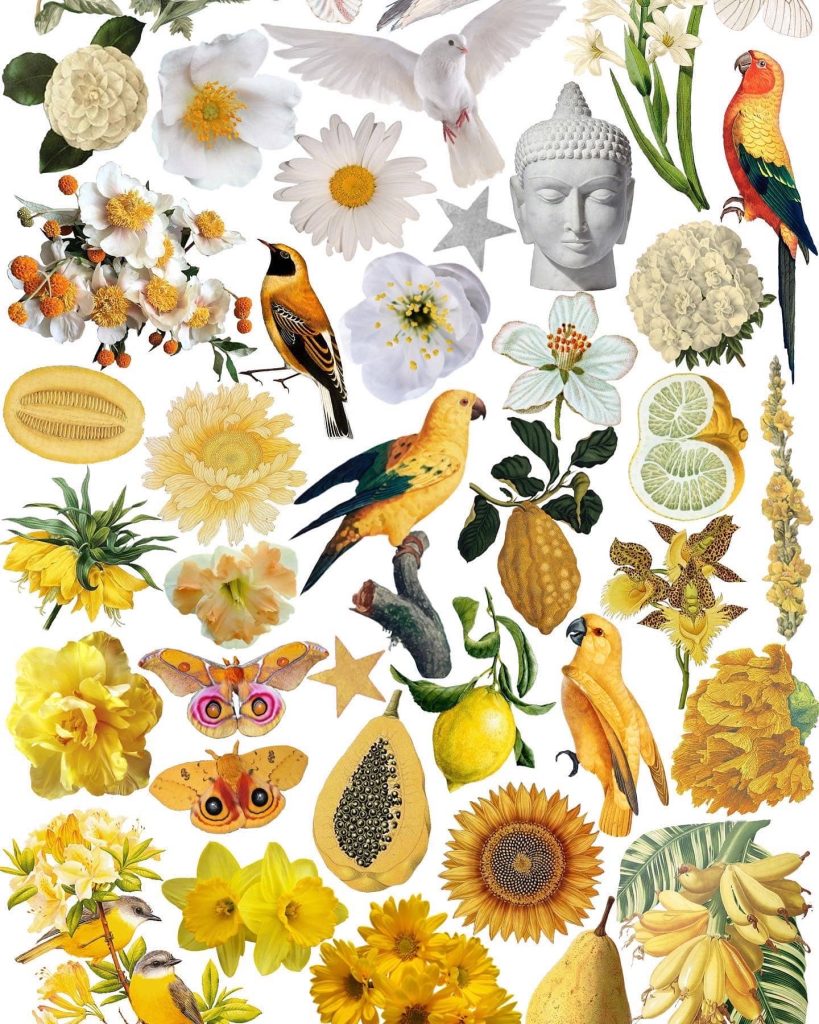 Set Recorte Collage – Conka Collage